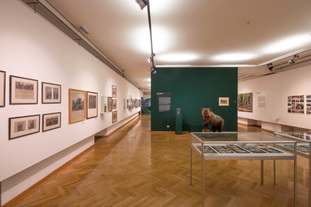 Ausstellungsarchiv 2020
